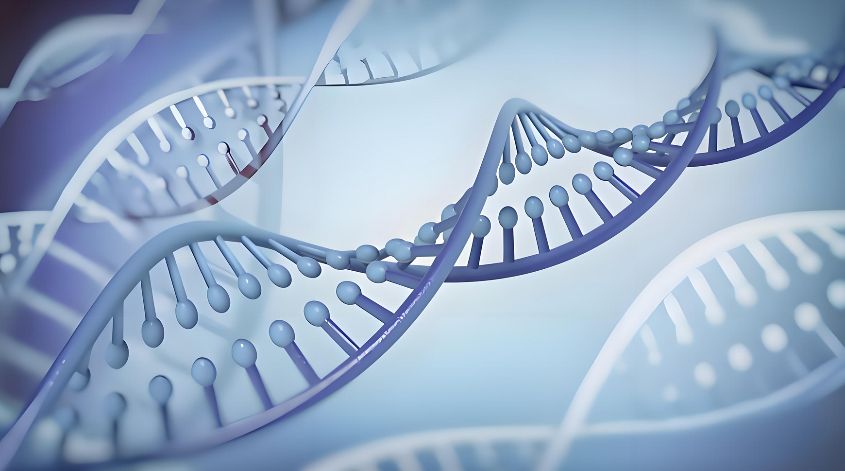 Join Us - SIHN-JinLab